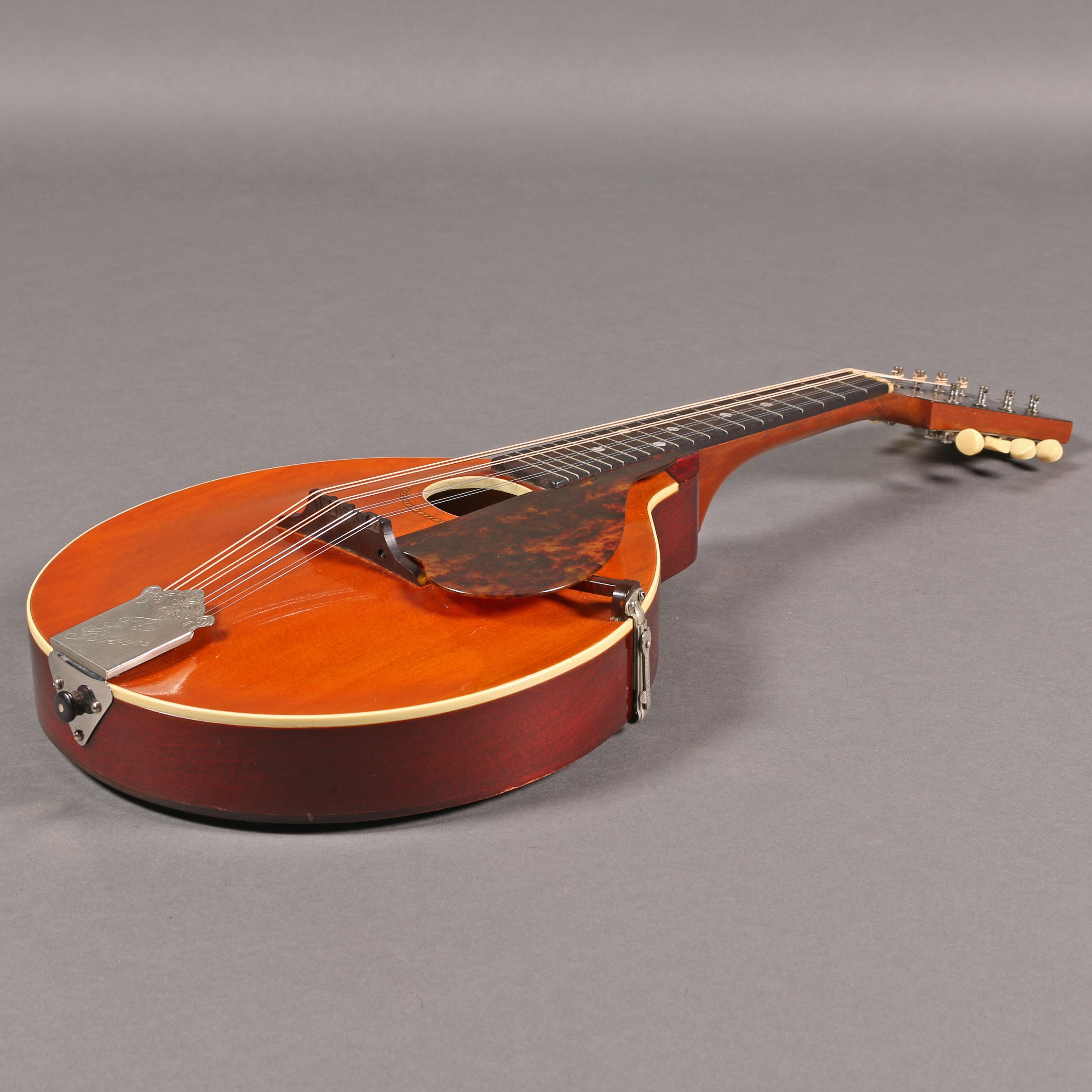 Acoustics - Folk Instruments – Emerald City Guitars